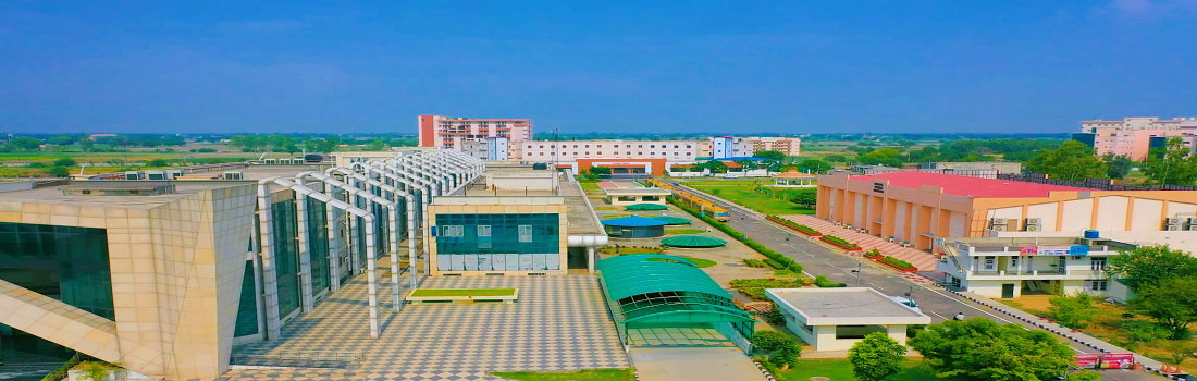 Top University in Jalandhar - Best Institute in Jalandhar Punjab
